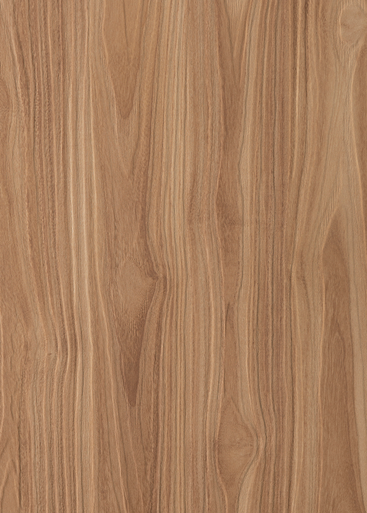S160 MEGURO | Elkhalil Wood
